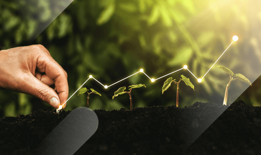 5 Strategies to Increase Market Share | Similarweb